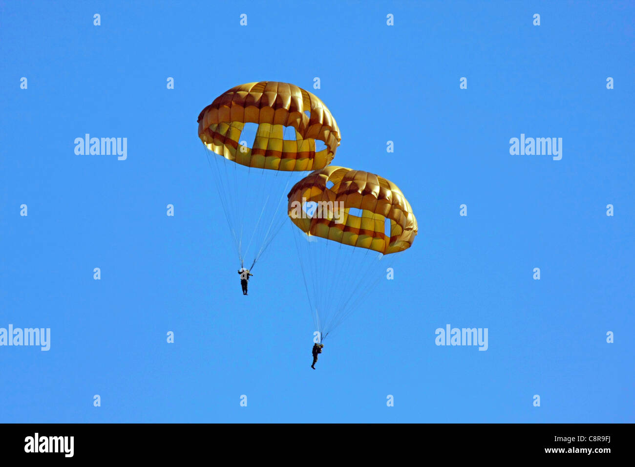 Paratroopers of Japan Ground Self Defense Force Stock Photo - Alamy
