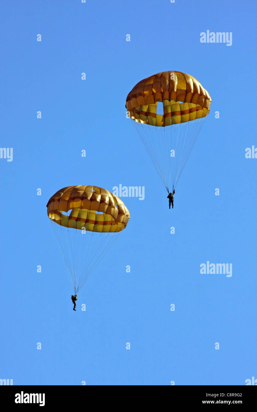 Paratroopers of Japan Ground Self Defense Force Stock Photo - Alamy