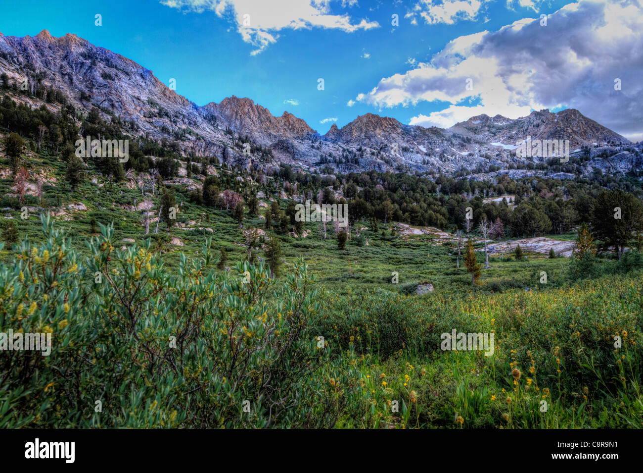 Ruby mountain nevada hi-res stock photography and images - Alamy