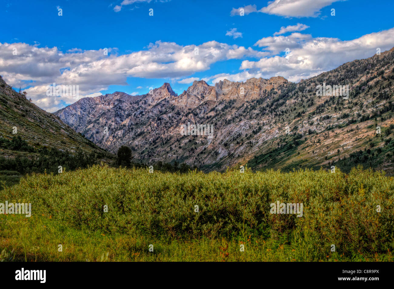 Ruby mountain nevada hi-res stock photography and images - Alamy