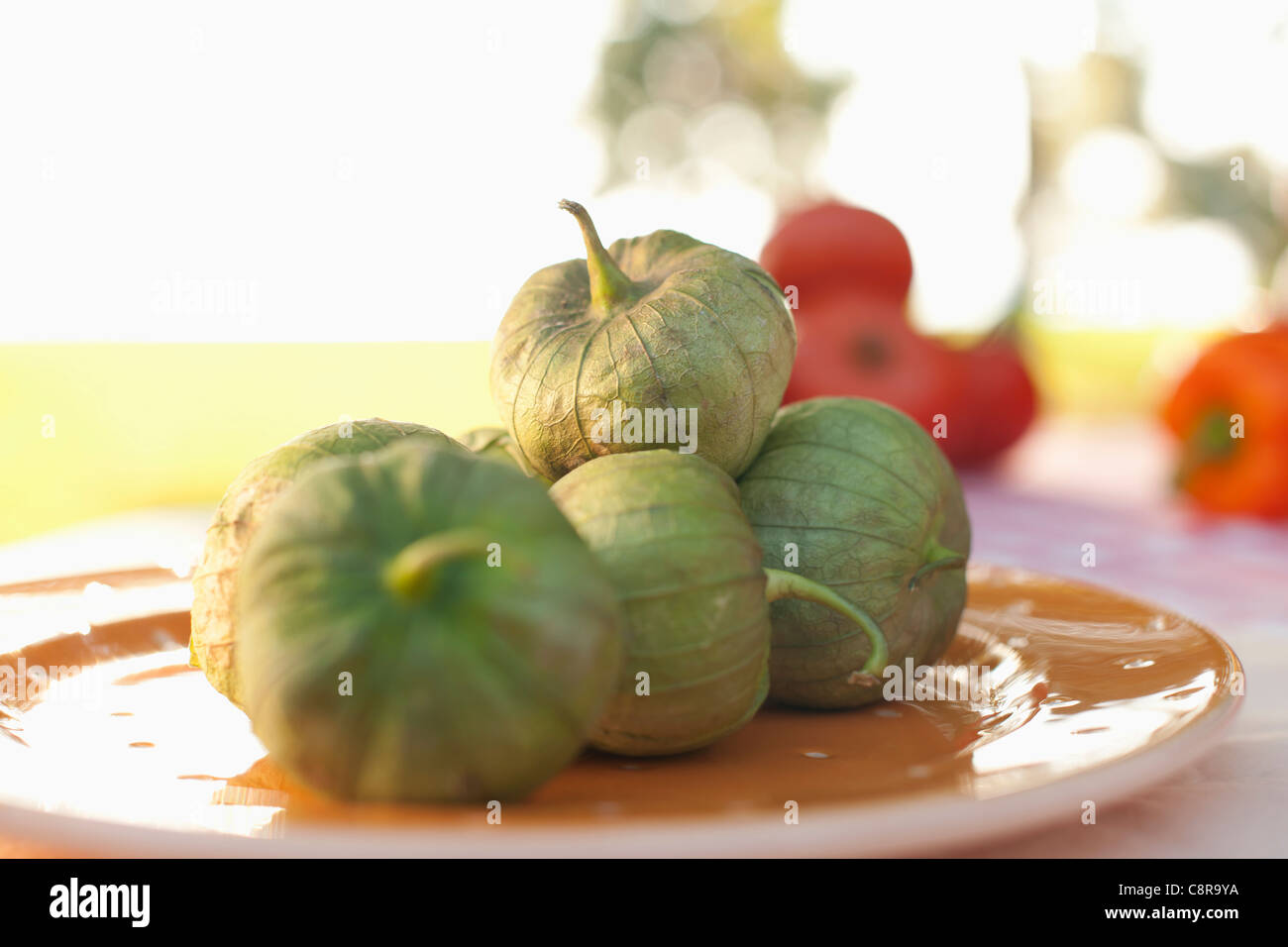 Living pods hi-res stock photography and images - Alamy