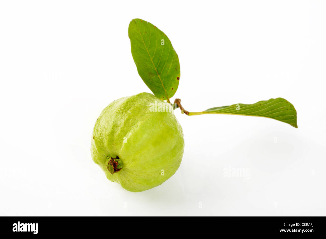 Guava with leaf on white Stock Photo - Alamy
