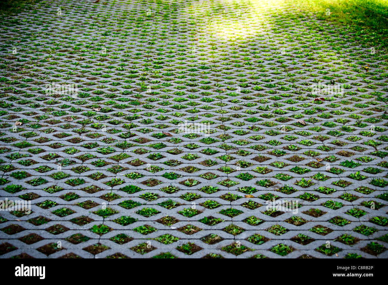 Weeds growing in concrete hi-res stock photography and images - Alamy