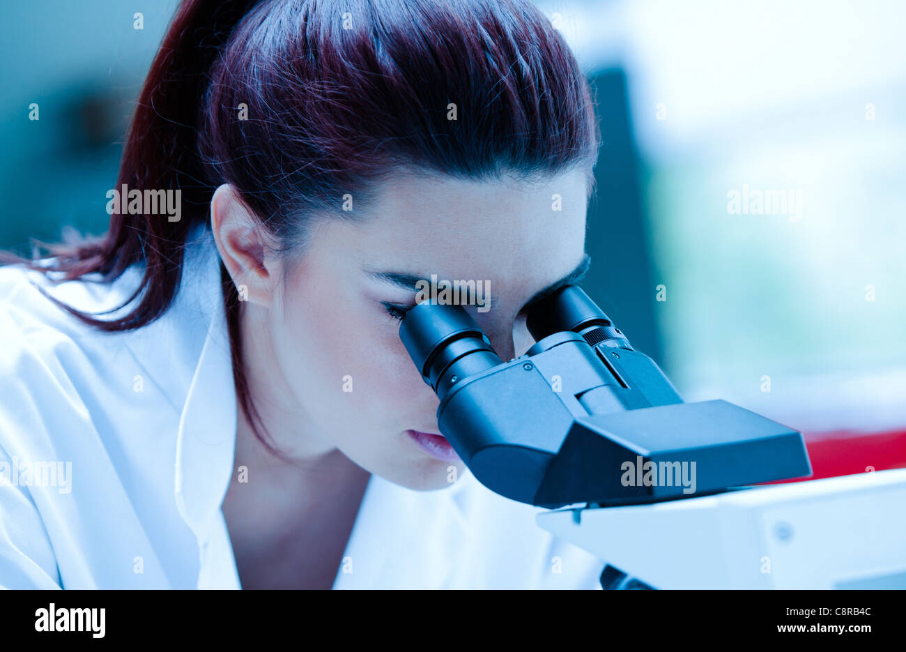 Doctor Using A Microscope High Resolution Stock Photography and Images ...