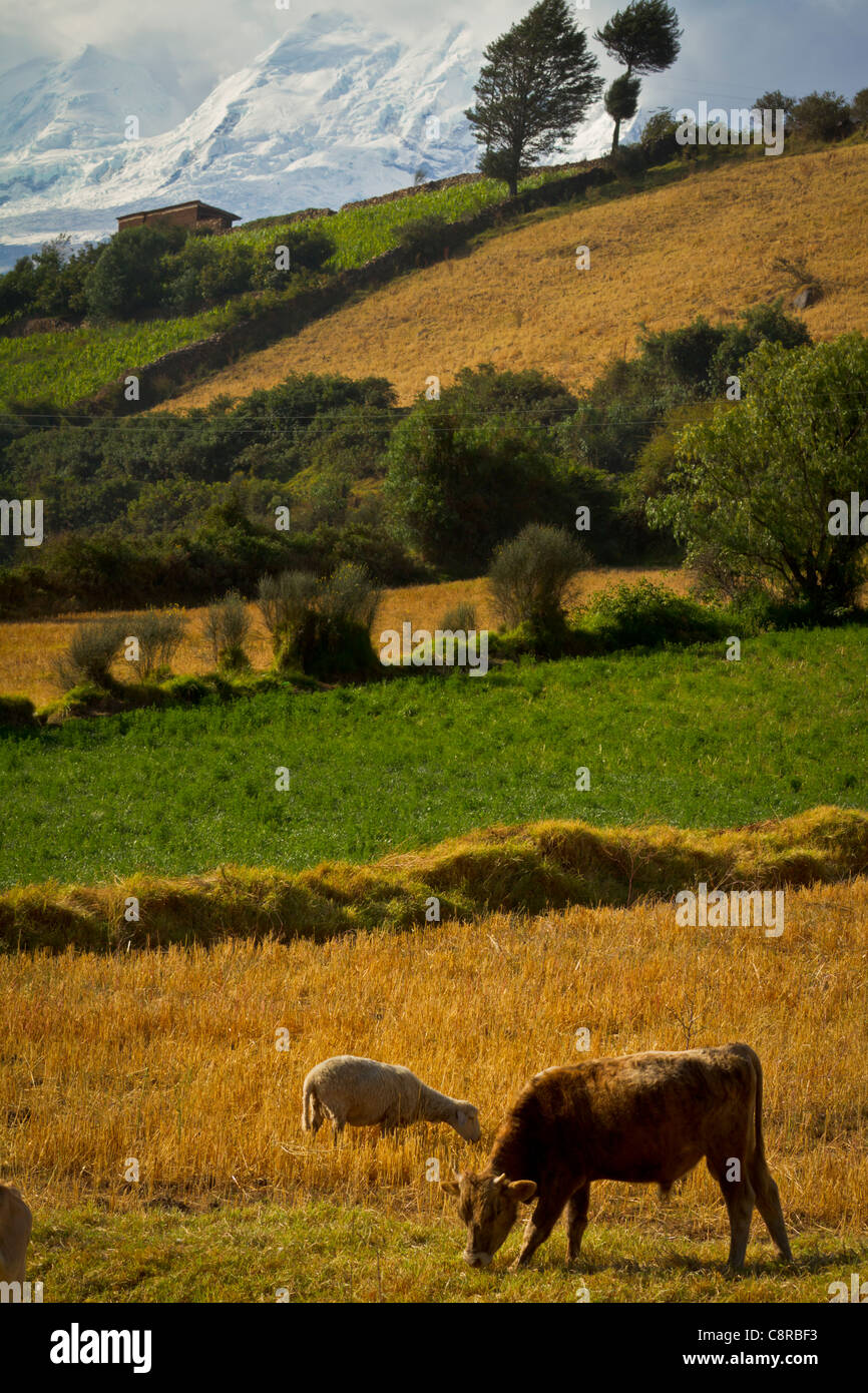 Andes chain hi-res stock photography and images - Alamy