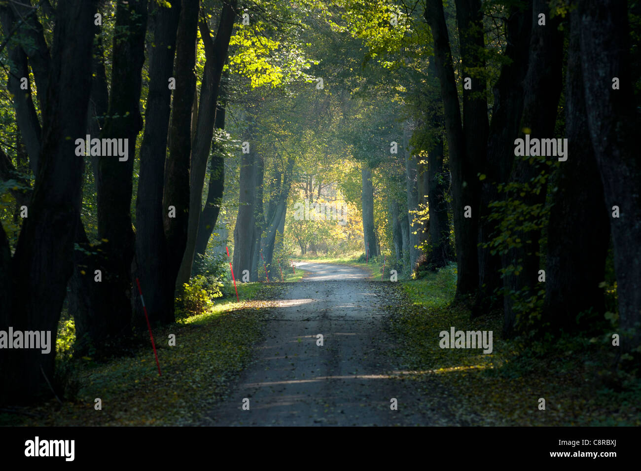 Huge lime hi-res stock photography and images - Alamy