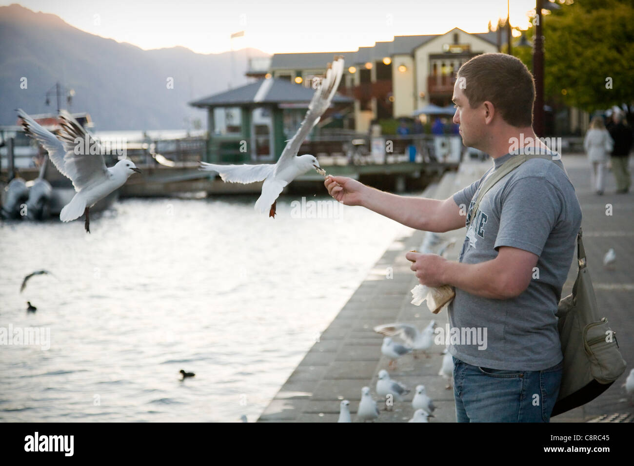 Man feeding seagulls hi-res stock photography and images - Alamy