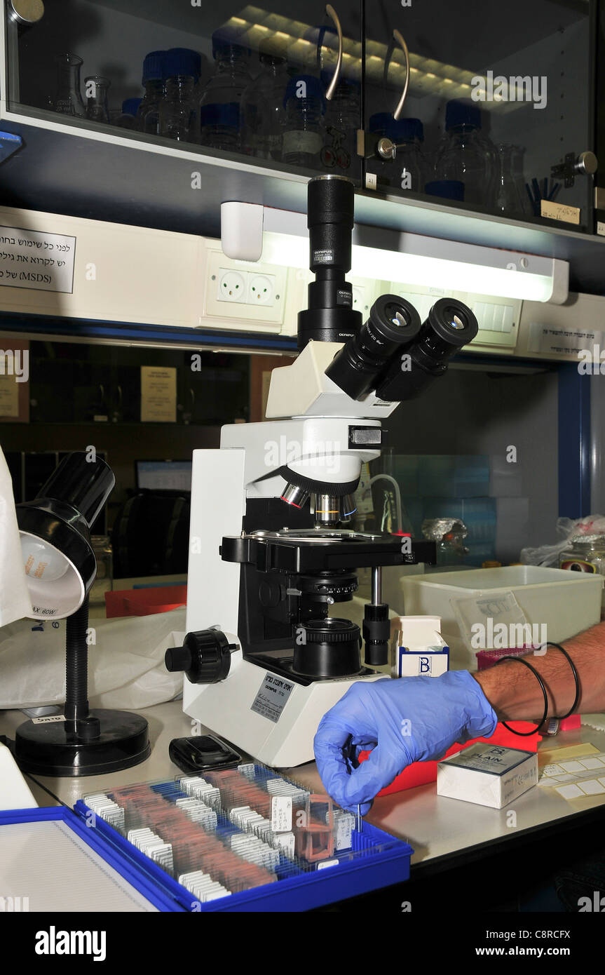 Researcher prepares slides to view under an optical microscope ...