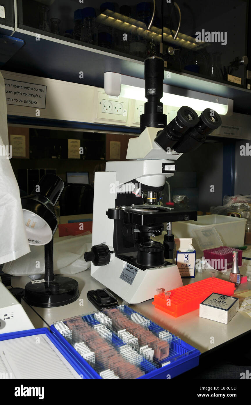 Researcher prepares slides to view under an optical microscope ...