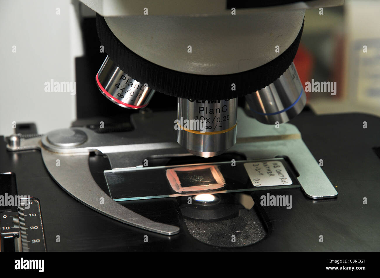 Researcher prepares slides to view under an optical microscope ...