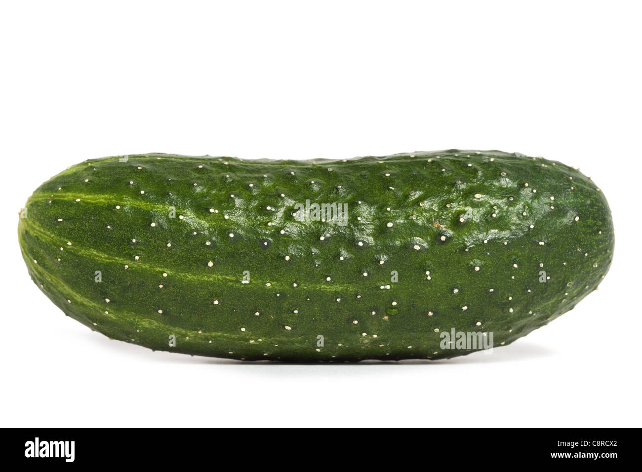 Single cucumber on white background with shadow Stock Photo - Alamy