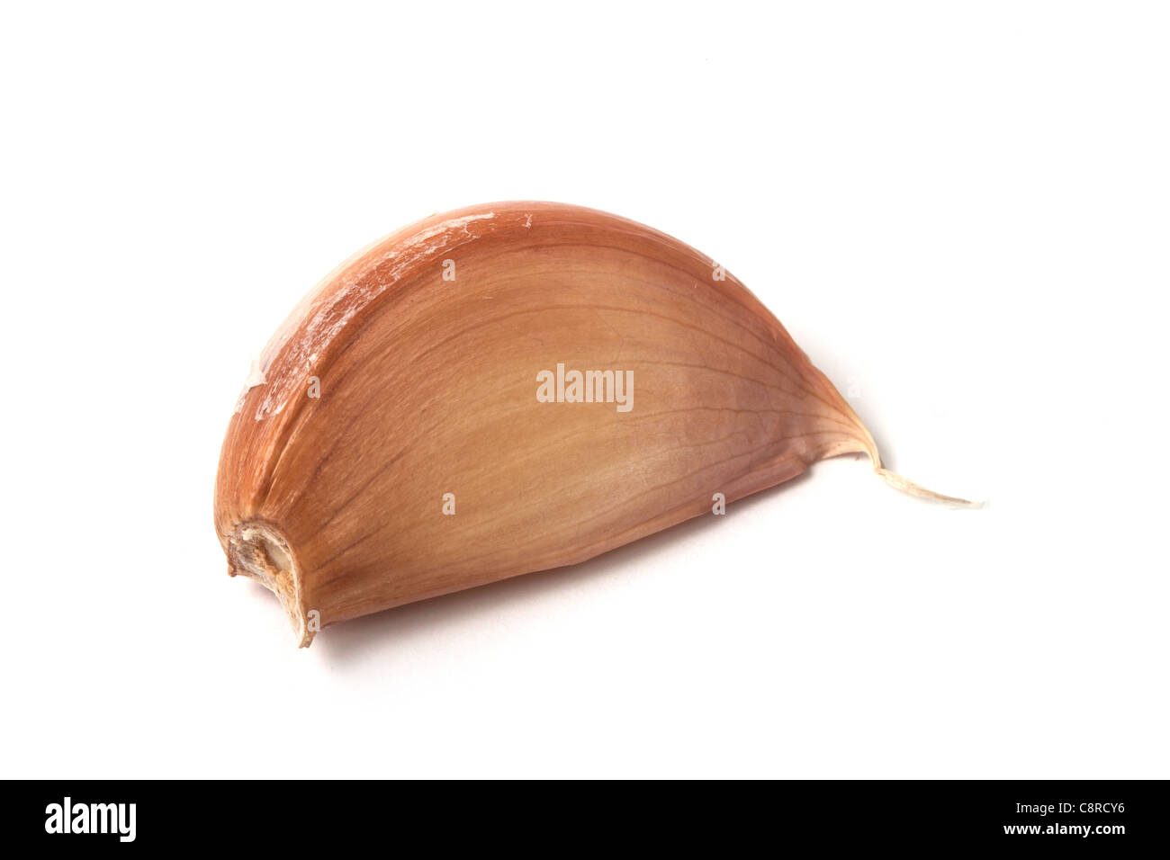 Single garlic clove closeup on white background with shadow Stock Photo ...