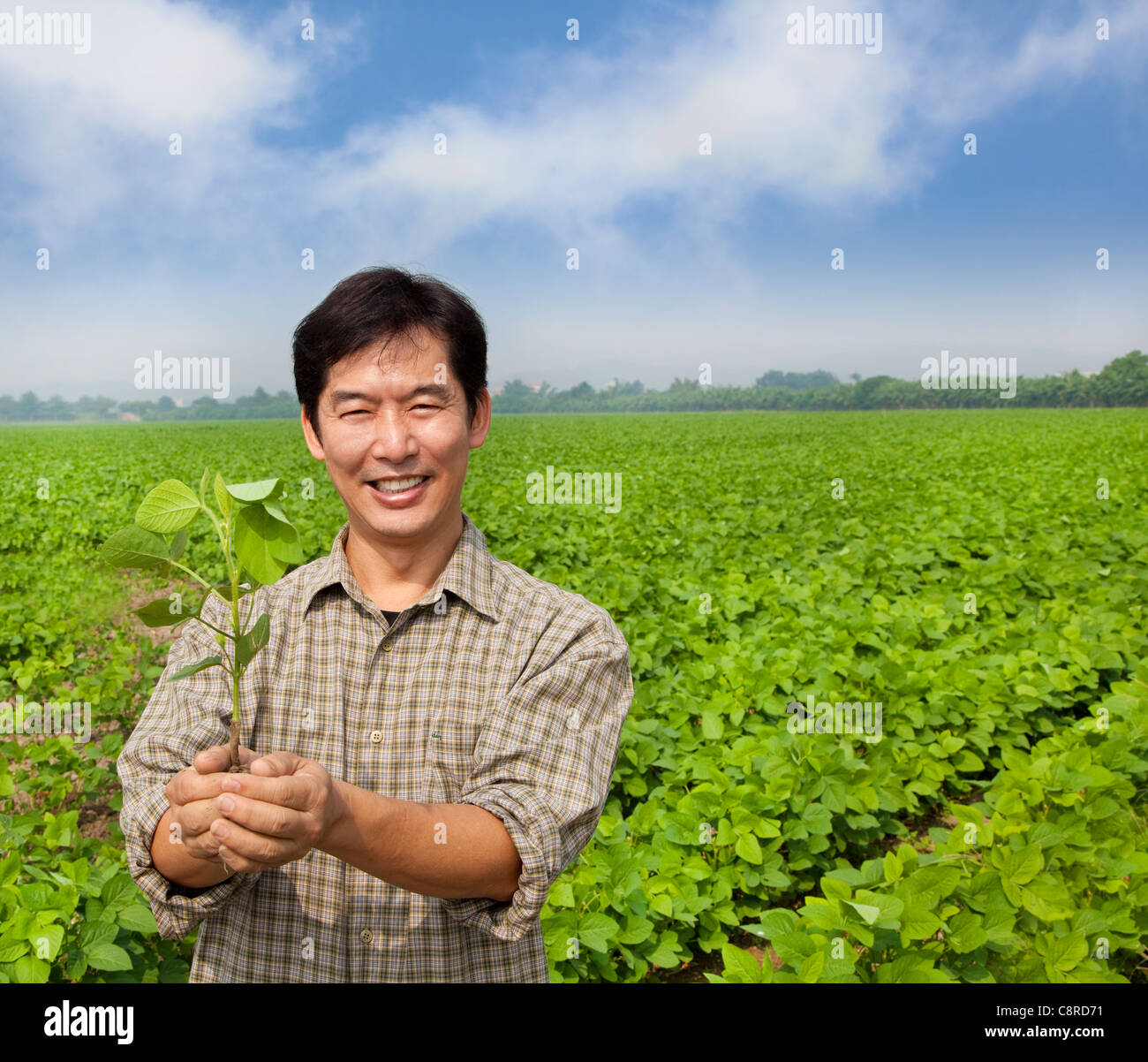 Farming In Asia