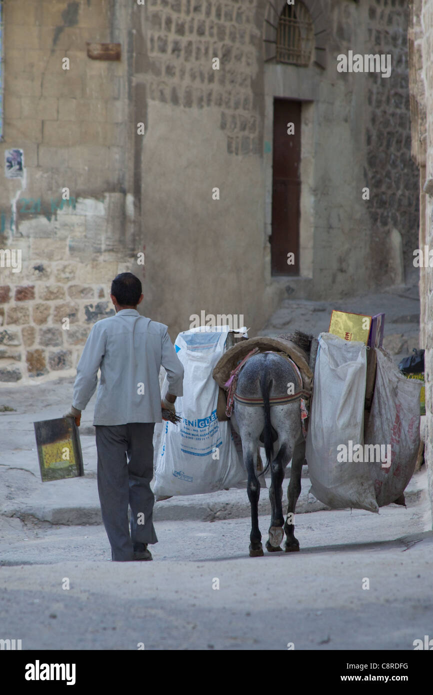Man and Donkey collecting Trash in Narrow Street at Mardin, Turkey ...