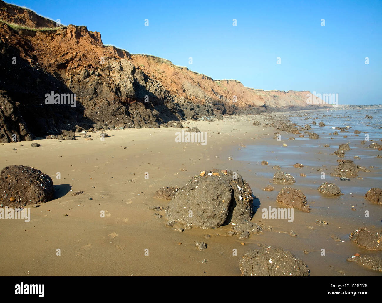 Rapidly eroding boulder clay cliffs on the Holderness coast, Mappleton ...