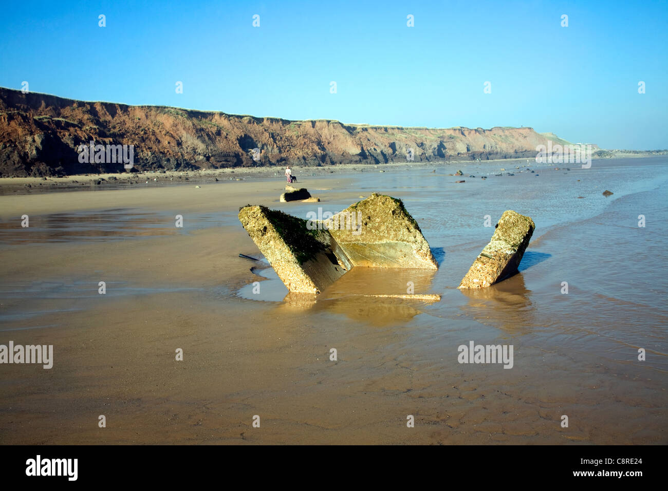 Rapidly eroding boulder clay cliffs on the Holderness coast, Mappleton ...