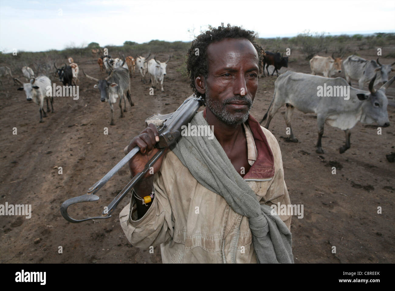 Ethiopian Shepherd Western Ethiopia