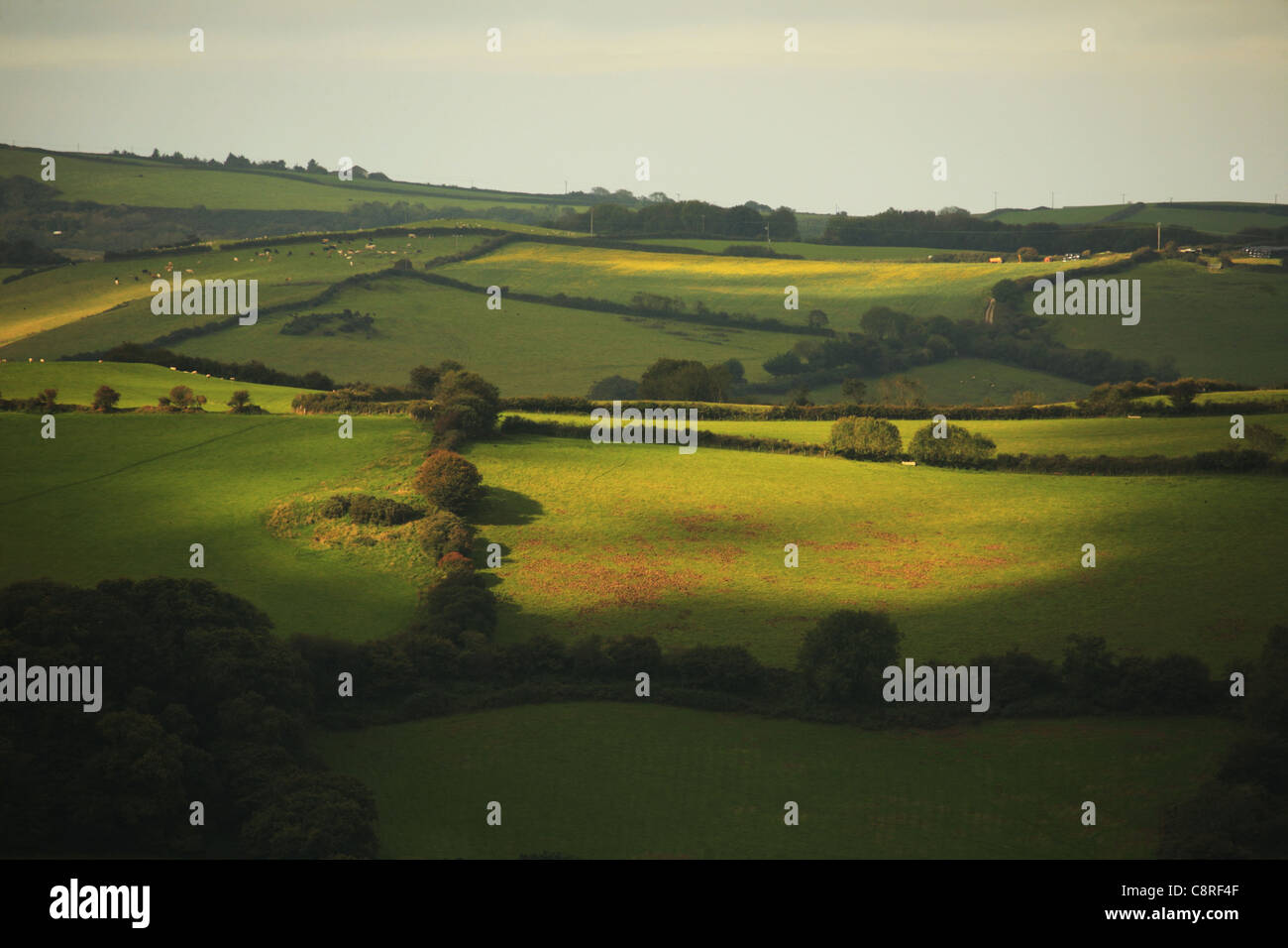 Landscape of North Devon Stock Photo - Alamy
