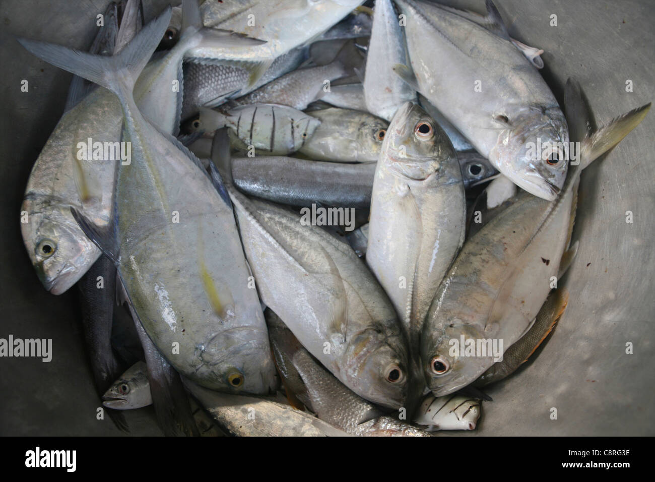 Tuvalu health hi-res stock photography and images - Alamy