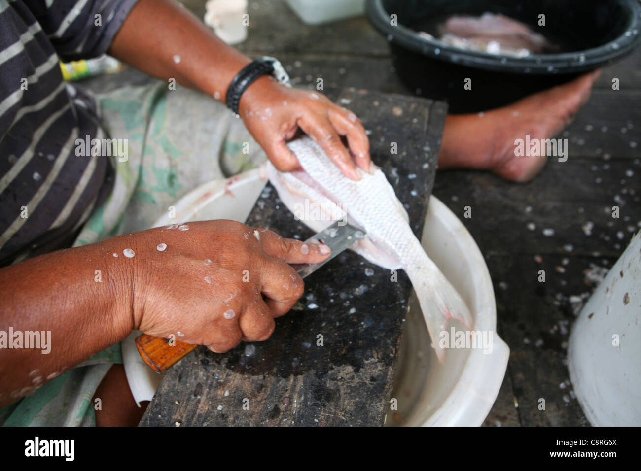 Tuvalu meal hi-res stock photography and images - Alamy