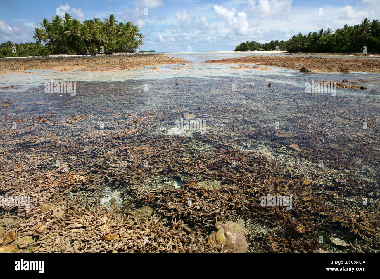 Tuvalu, island in the pacific ocean Stock Photo - Alamy