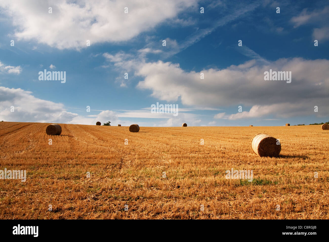 Bales of hay left on a harvested field Stock Photo - Alamy