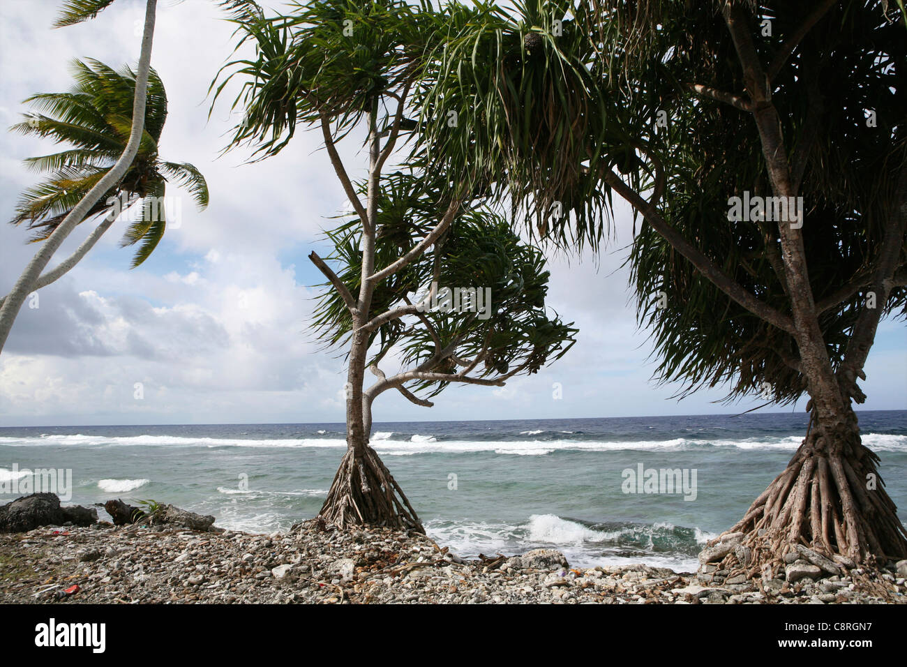 Tuvalu, island in the pacific ocean Stock Photo - Alamy