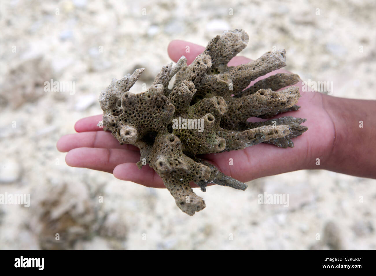 Tuvalu, island in the pacific ocean Stock Photo - Alamy