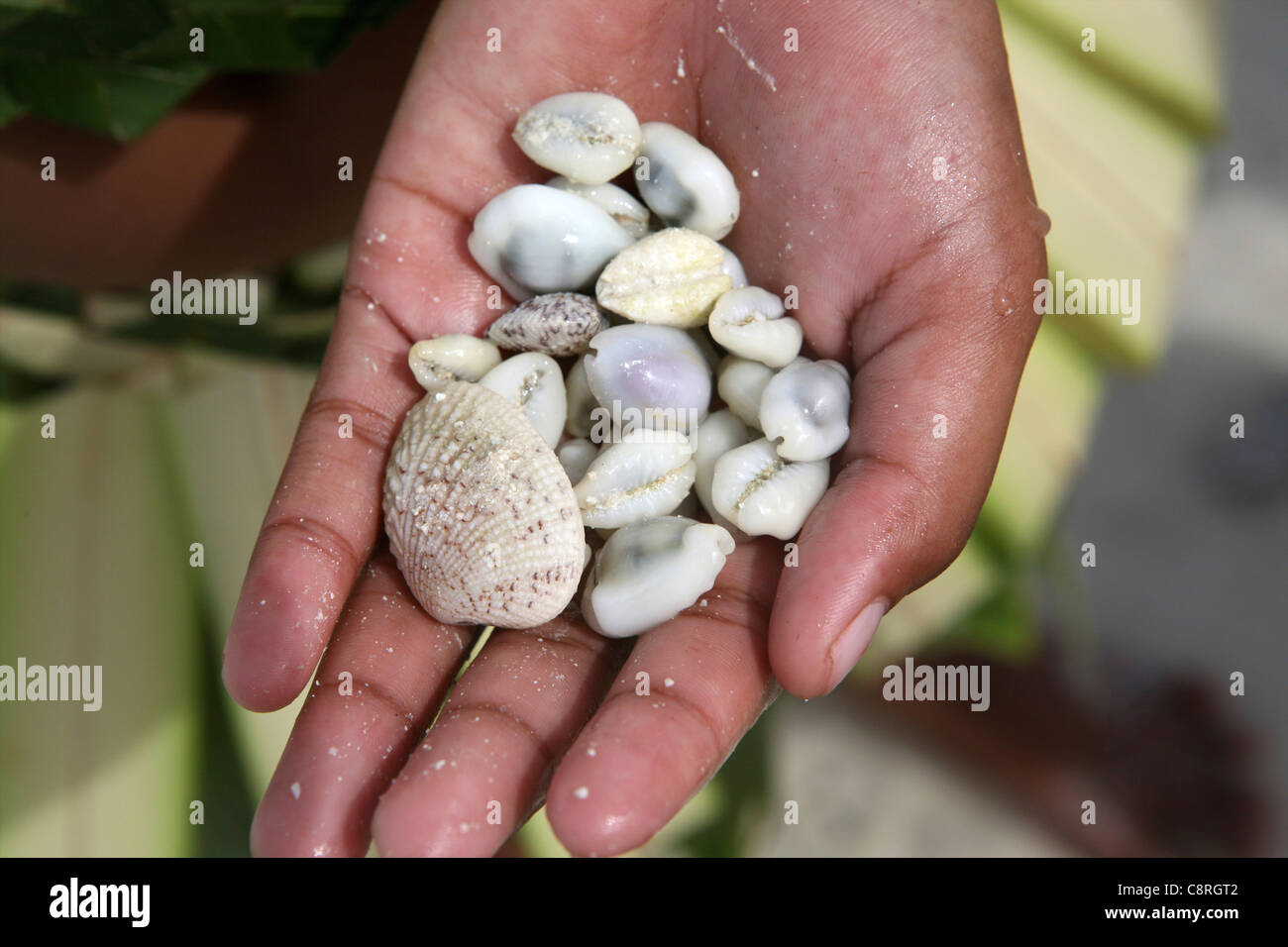 Tuvalu, island in the pacific ocean Stock Photo - Alamy