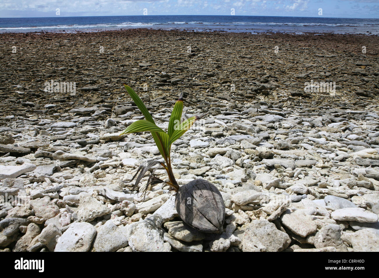 Tuvalu, island in the pacific ocean Stock Photo - Alamy