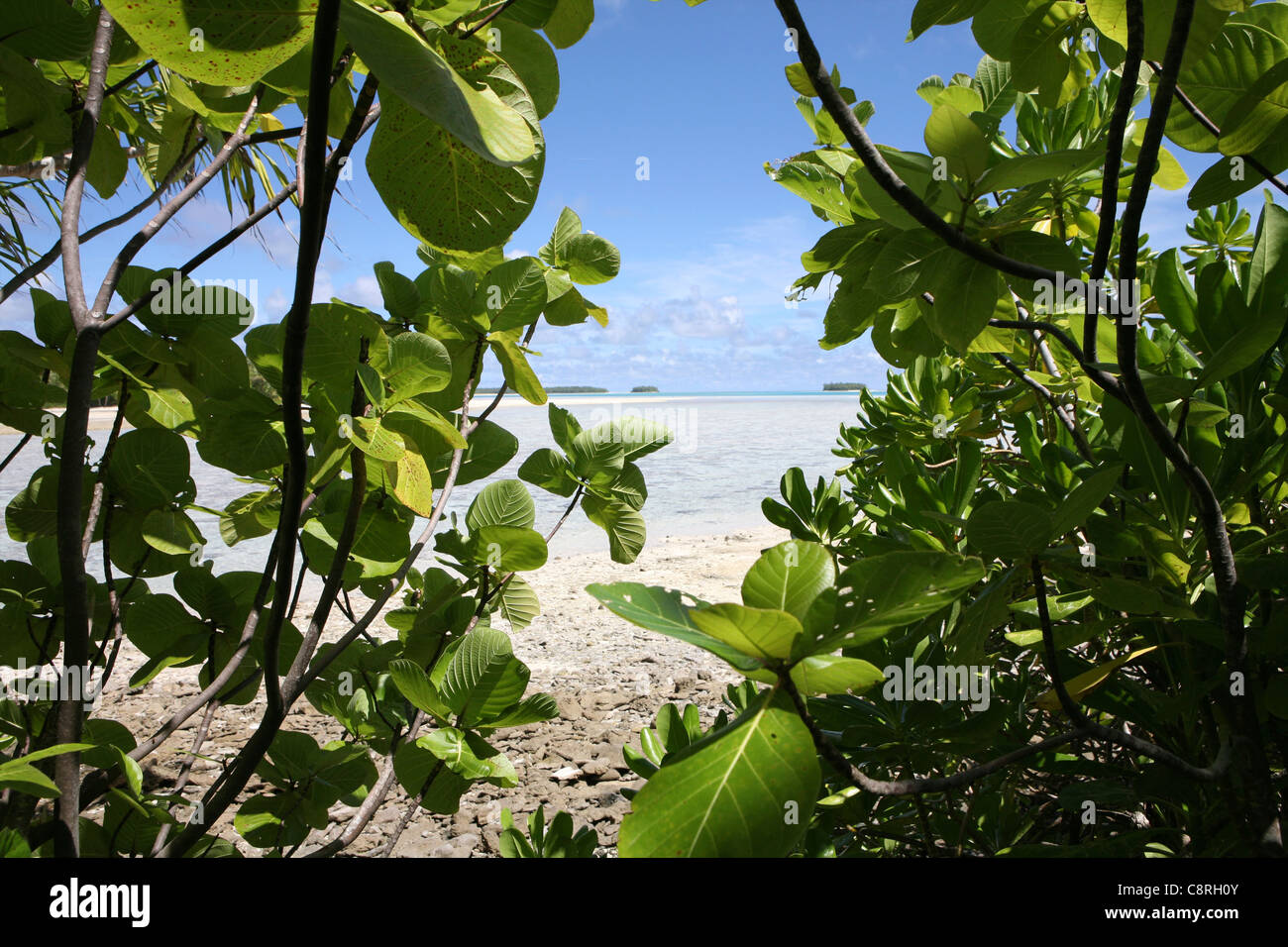Tuvalu, island in the pacific ocean Stock Photo - Alamy
