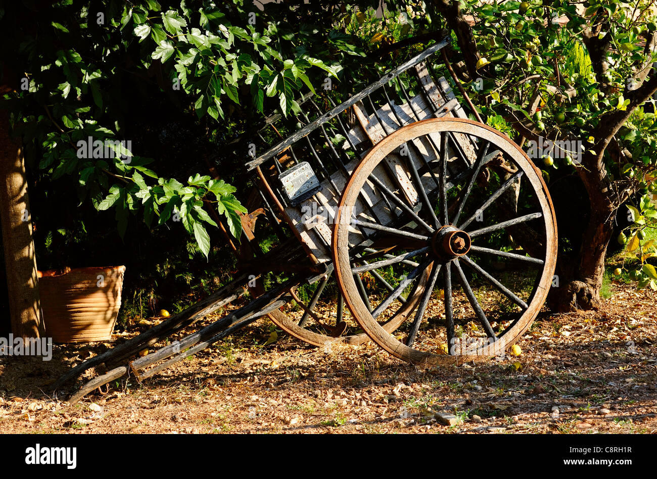 CART IN A VILLA GARDEN WITH LEMON TREES POLLENSA MAJORCA SPAIN Stock ...