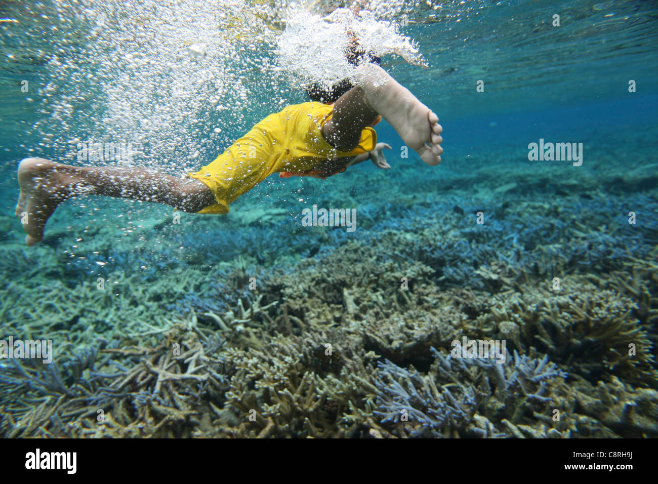 snorkeling in Tuvalu (MR Stock Photo - Alamy