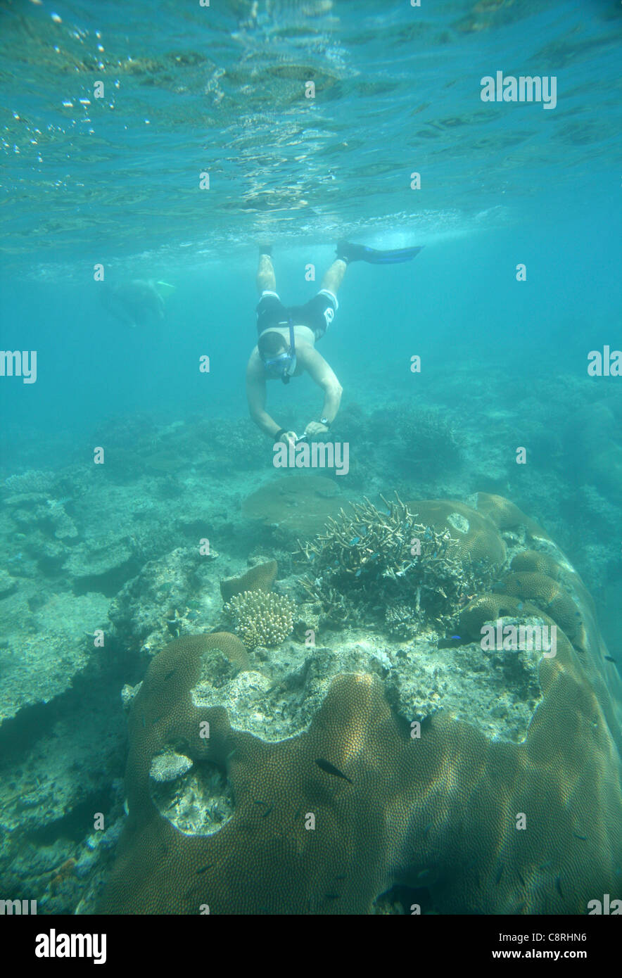 snorkeling in Tuvalu Stock Photo - Alamy