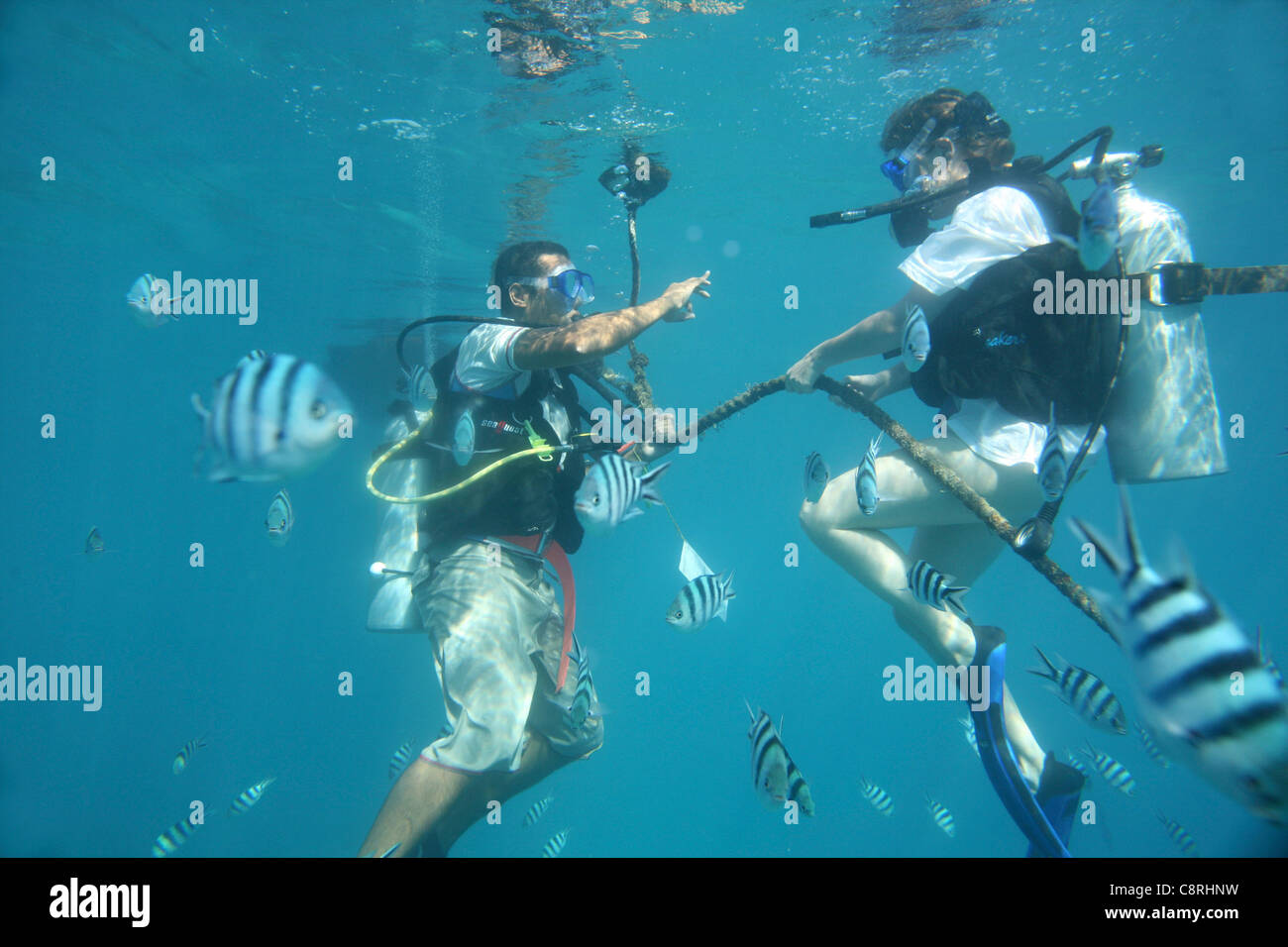 divers at Tuvalu Stock Photo - Alamy