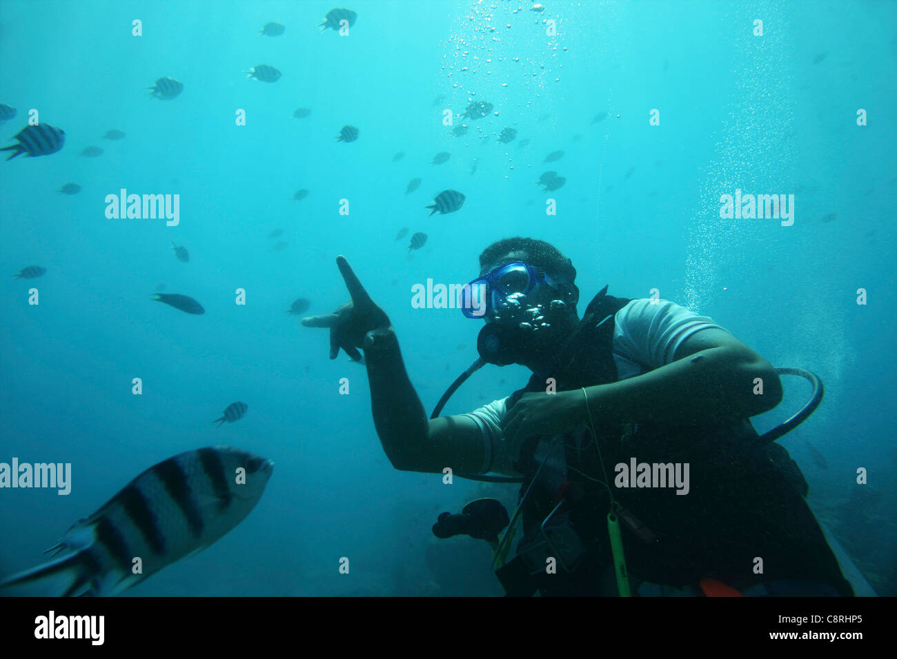 divers at Tuvalu Stock Photo - Alamy