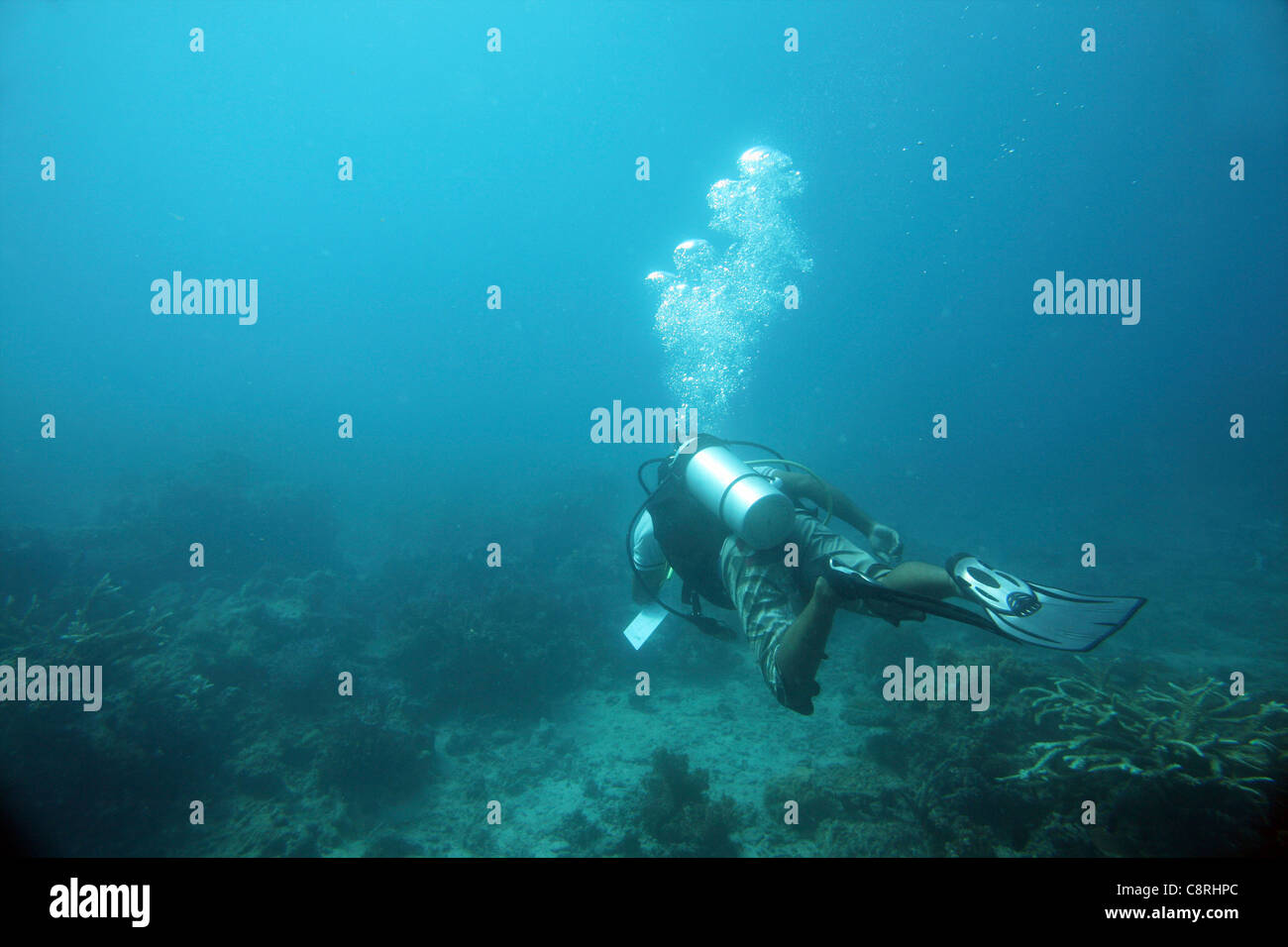 Tuvalu sports hi-res stock photography and images - Alamy