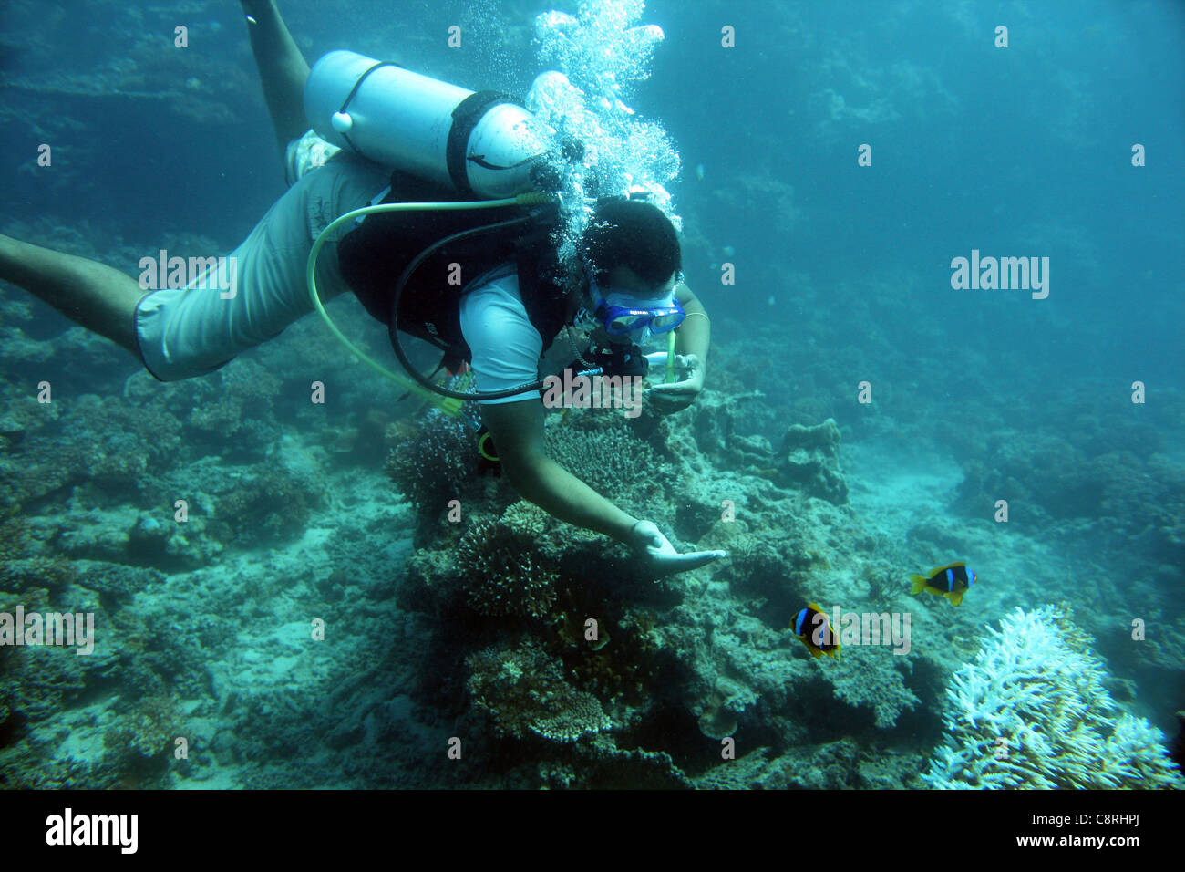 divers at Tuvalu Stock Photo - Alamy