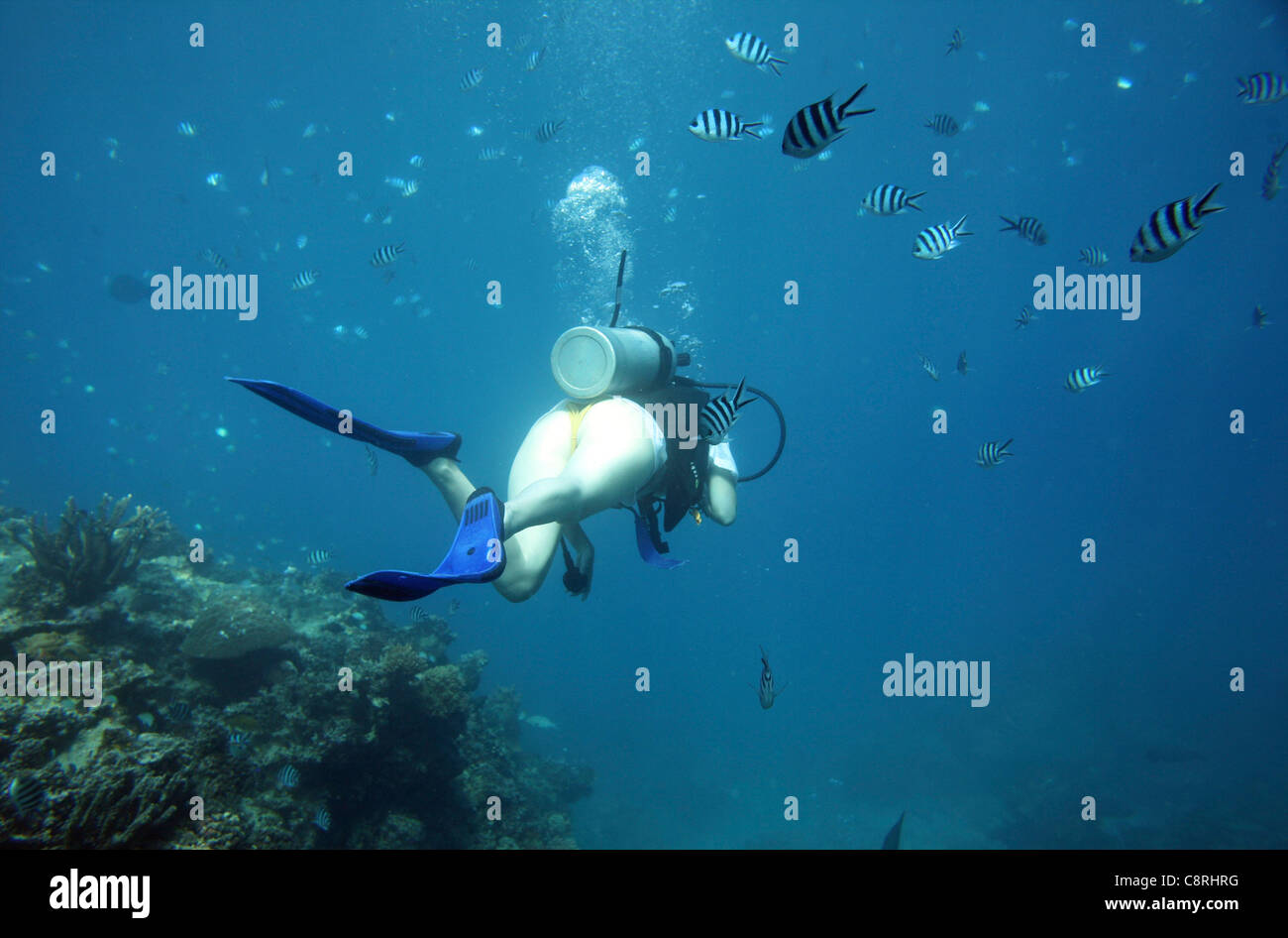 divers at Tuvalu Stock Photo - Alamy