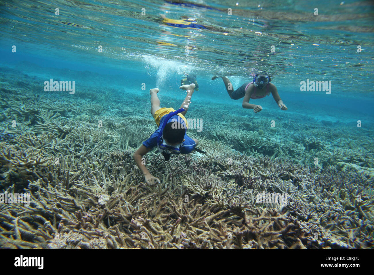 Fishing in tuvalu hi-res stock photography and images - Alamy
