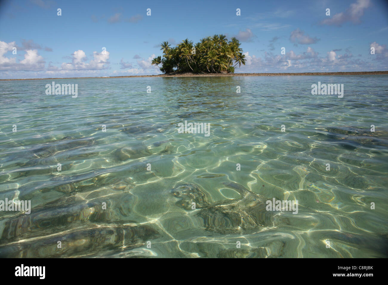 Corals in Tuvalu, pacific ocea Stock Photo - Alamy