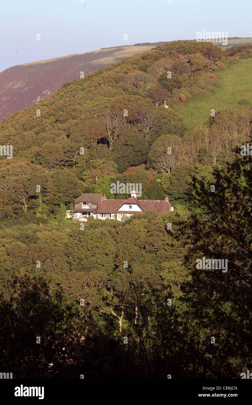 A house nestling in the woods at Woody Bay near Lynton, North Devon ...