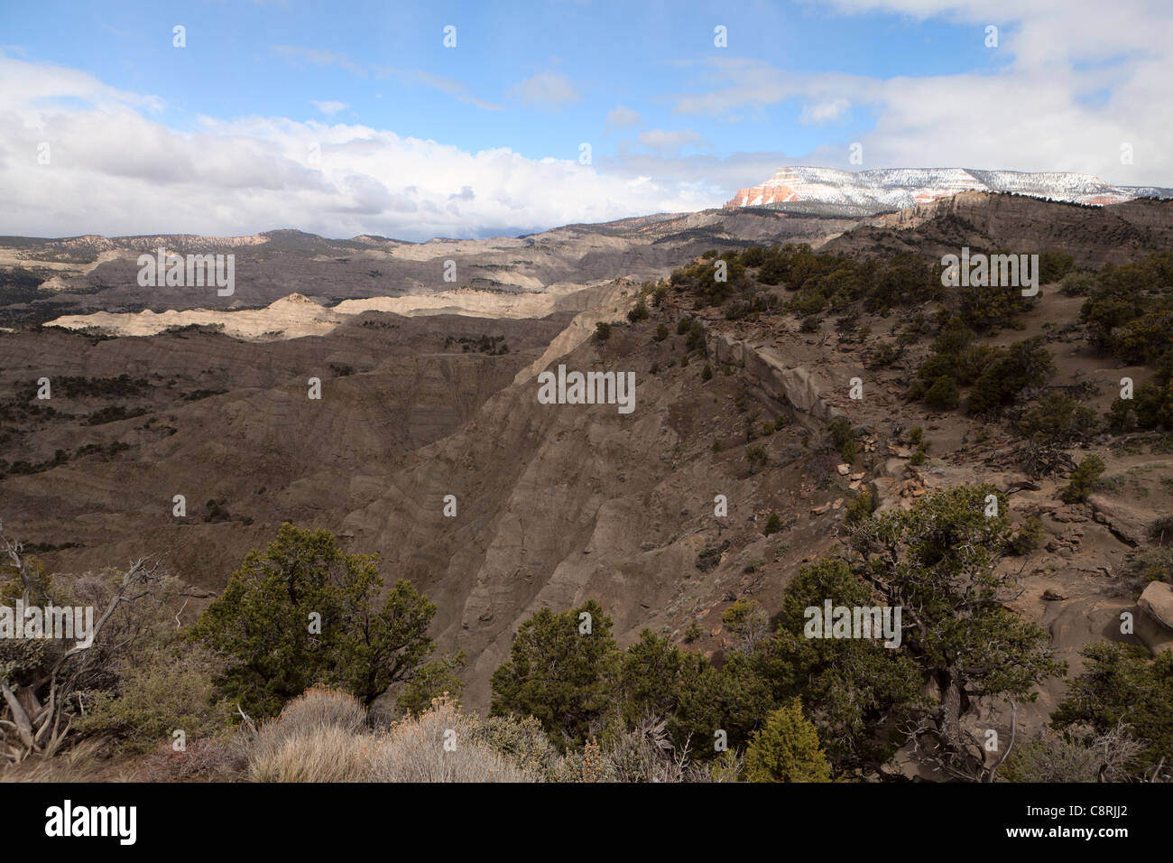 The manifestation of denudation processes in paleodelte in Utah Stock ...