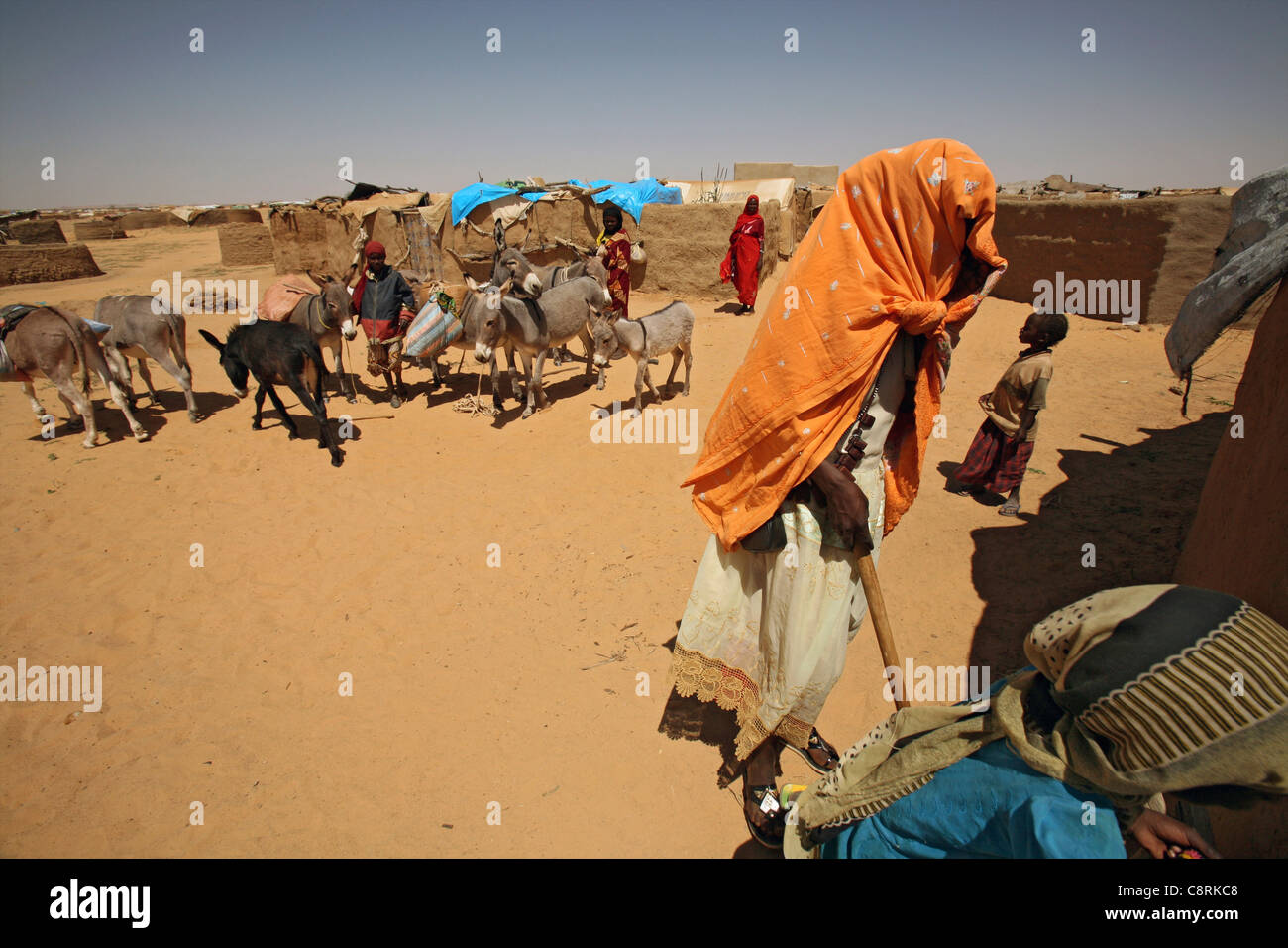 livestock in Chad Stock Photo - Alamy