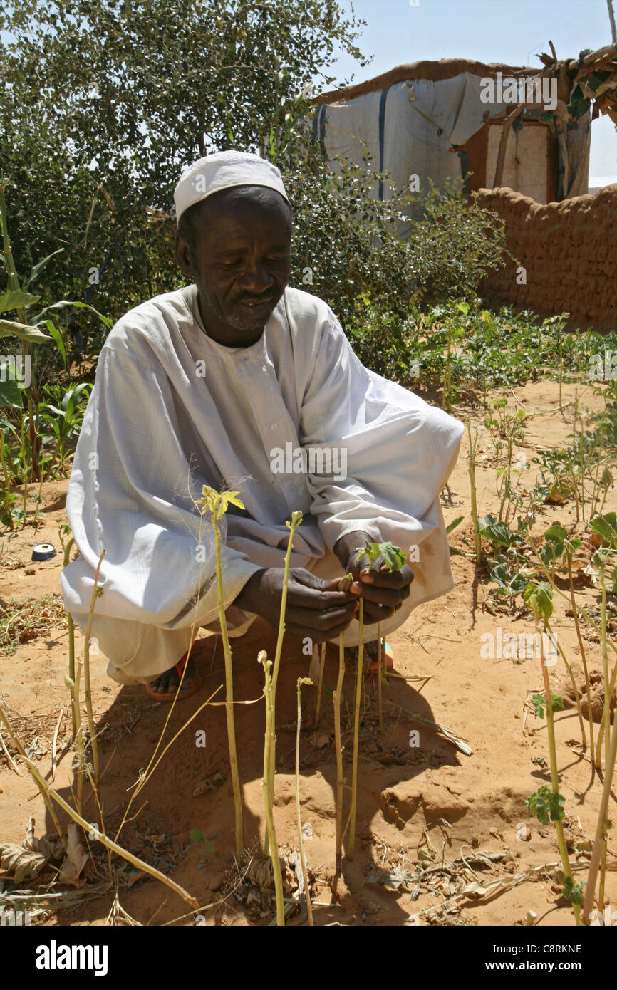 farming in Chad Stock Photo - Alamy