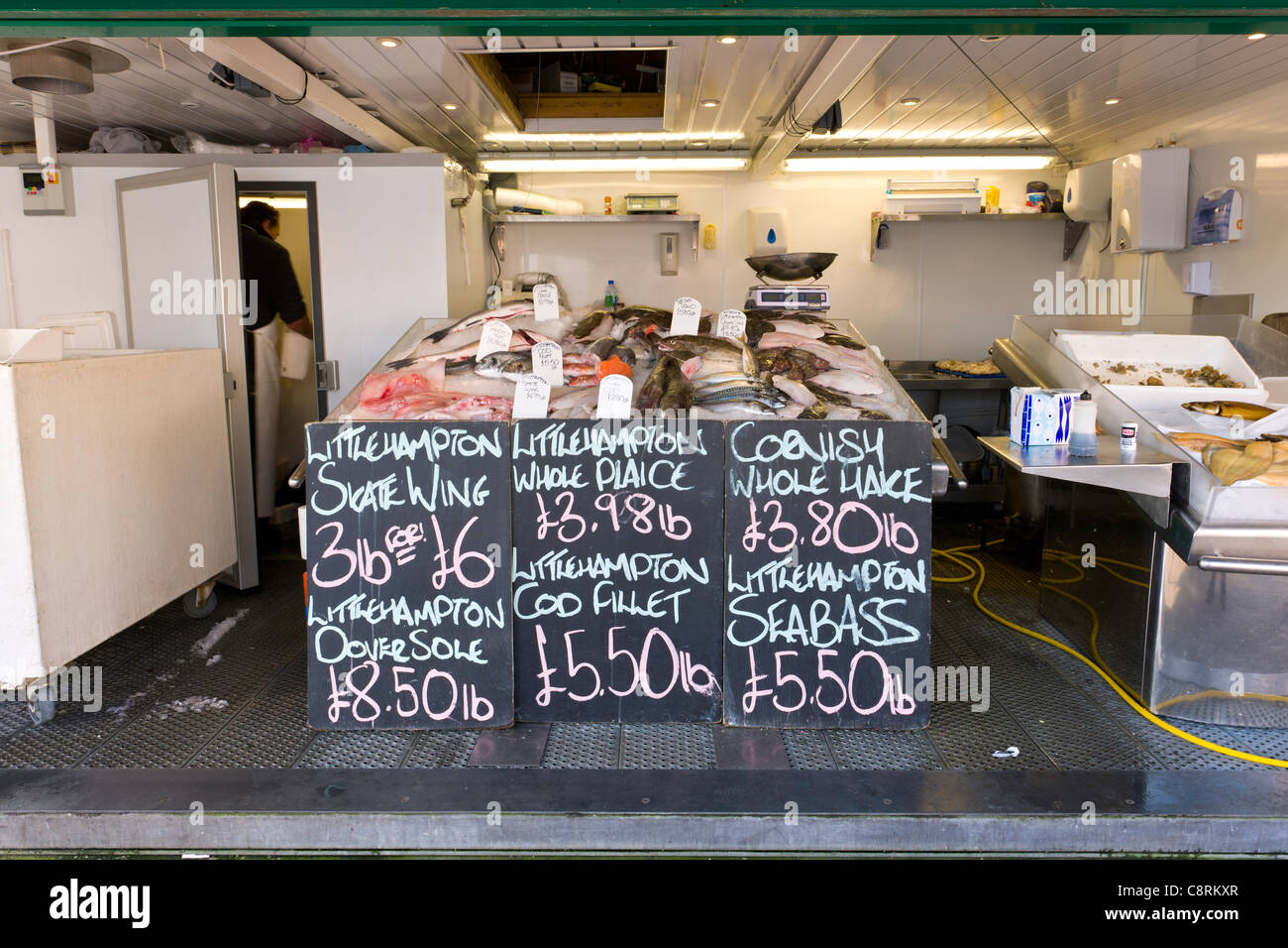 British bass fish hi-res stock photography and images - Alamy