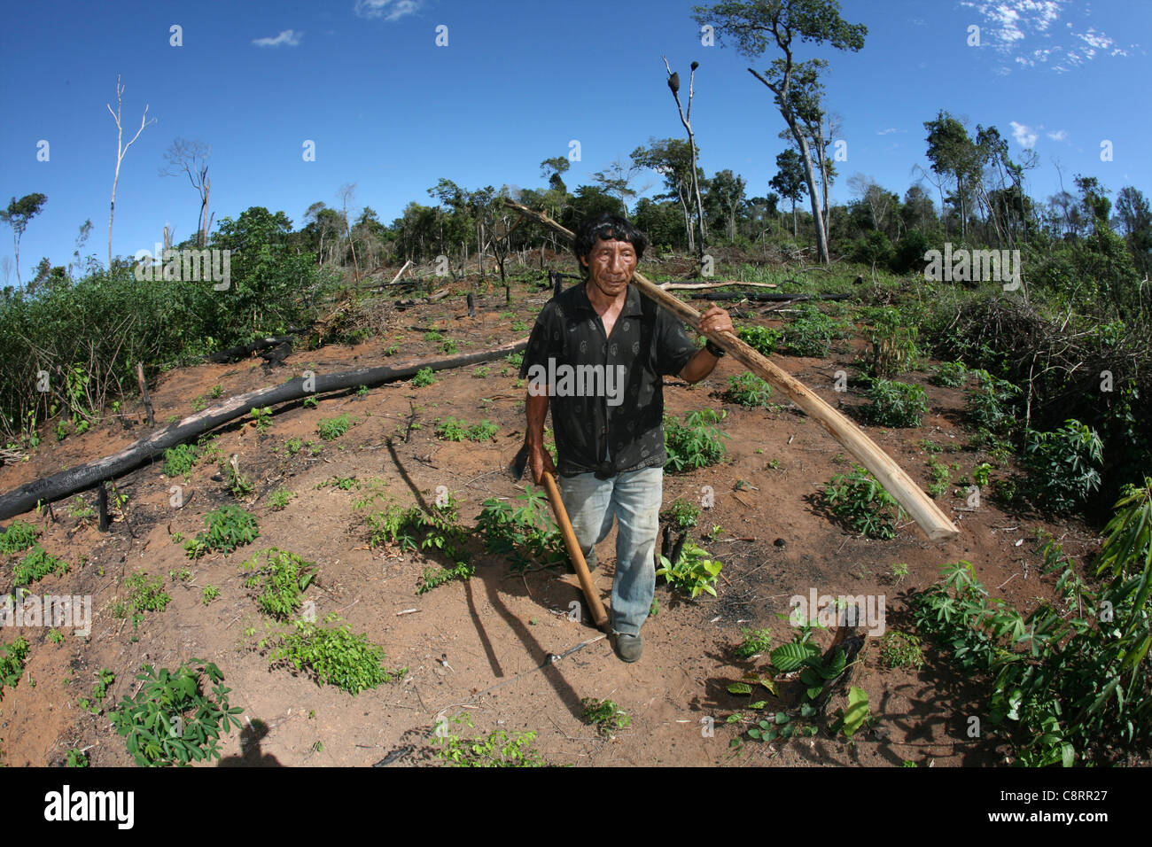 Xingu indians in amazone brazil hi-res stock photography and images - Alamy