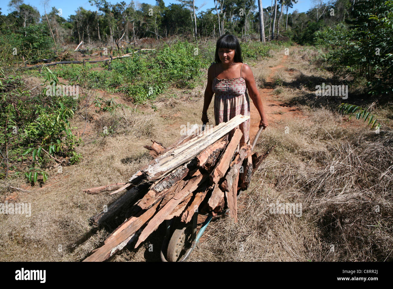 Xingu tribe woman hi-res stock photography and images - Alamy