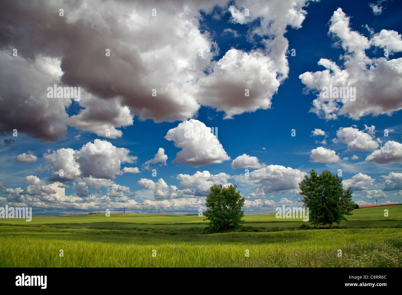landscape with clouds Stock Photo - Alamy