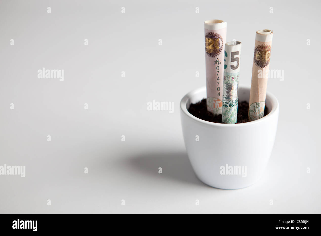A plant pot holding money notes, to give a conceptual message about ...